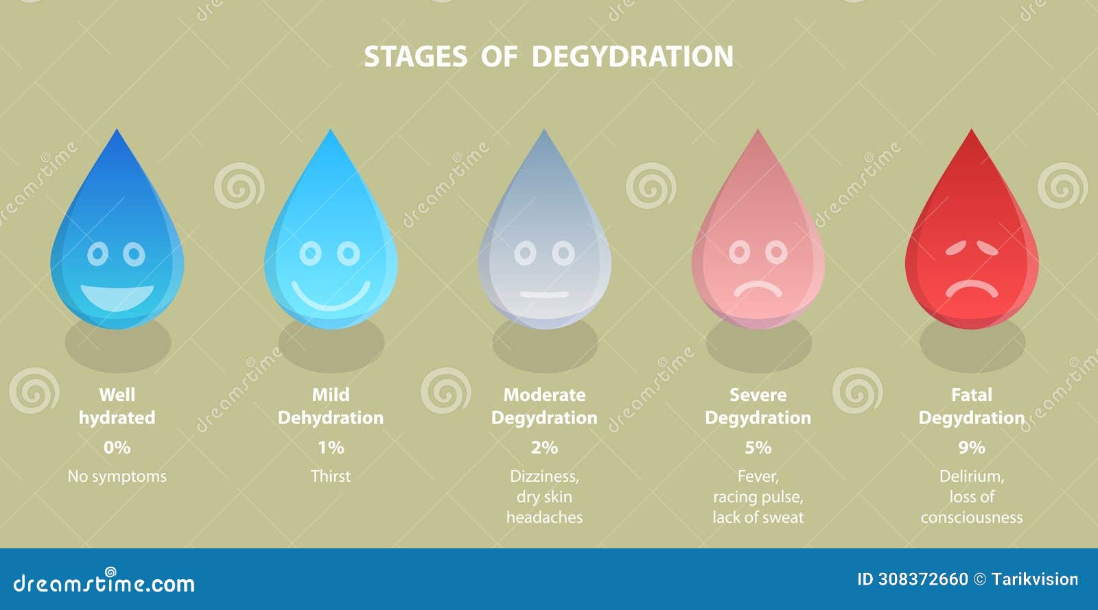 Precipitation Stages With Rain, Snow, Sleet And Hail Symbols Outline ...