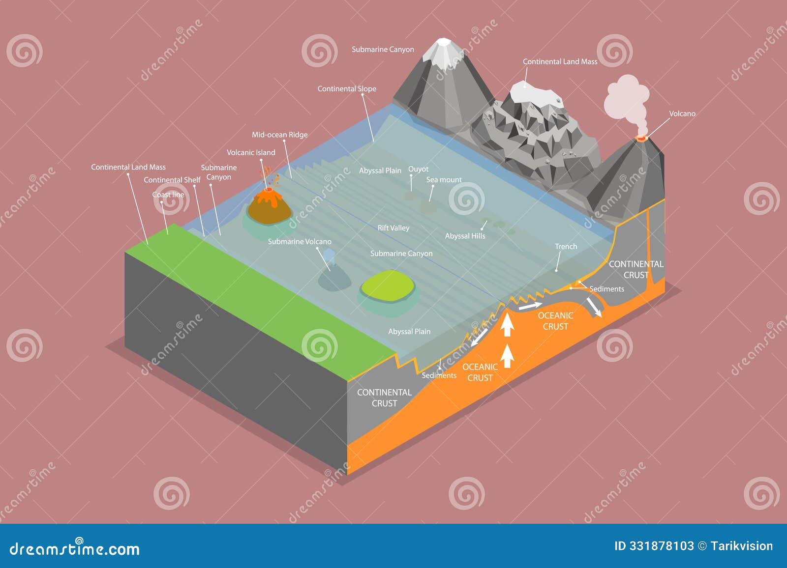 3D Isometric Flat Vector Illustration of Structure of Oceanic Basin ...