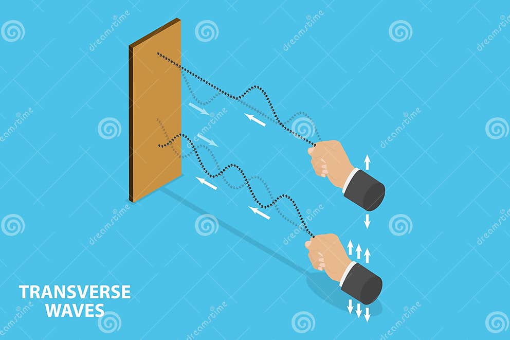 3D Isometric Flat Vector Illustration of Transverse Waves Stock ...
