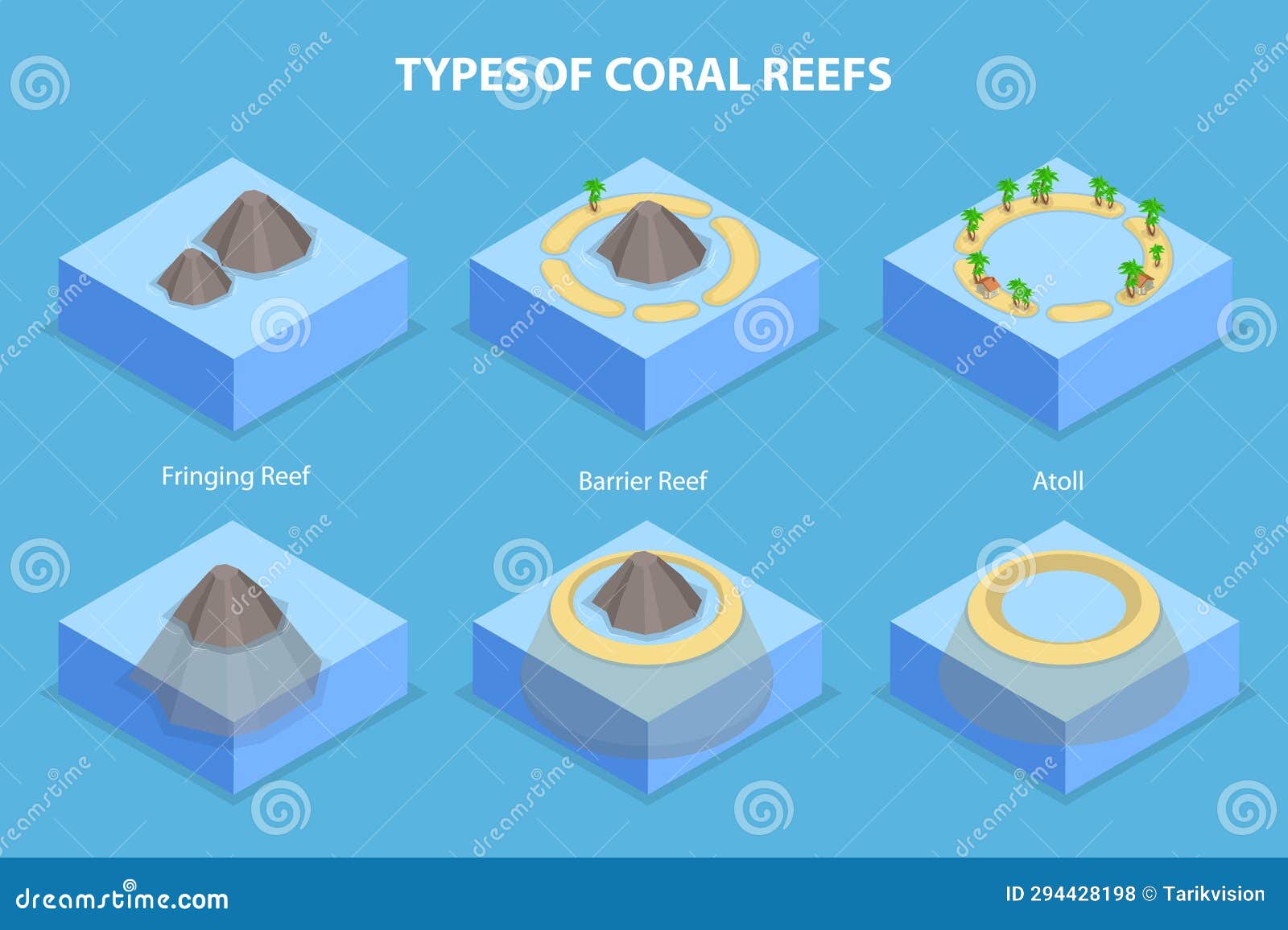 3D Isometric Flat Vector Illustration of Types of Coral Reefs Stock ...