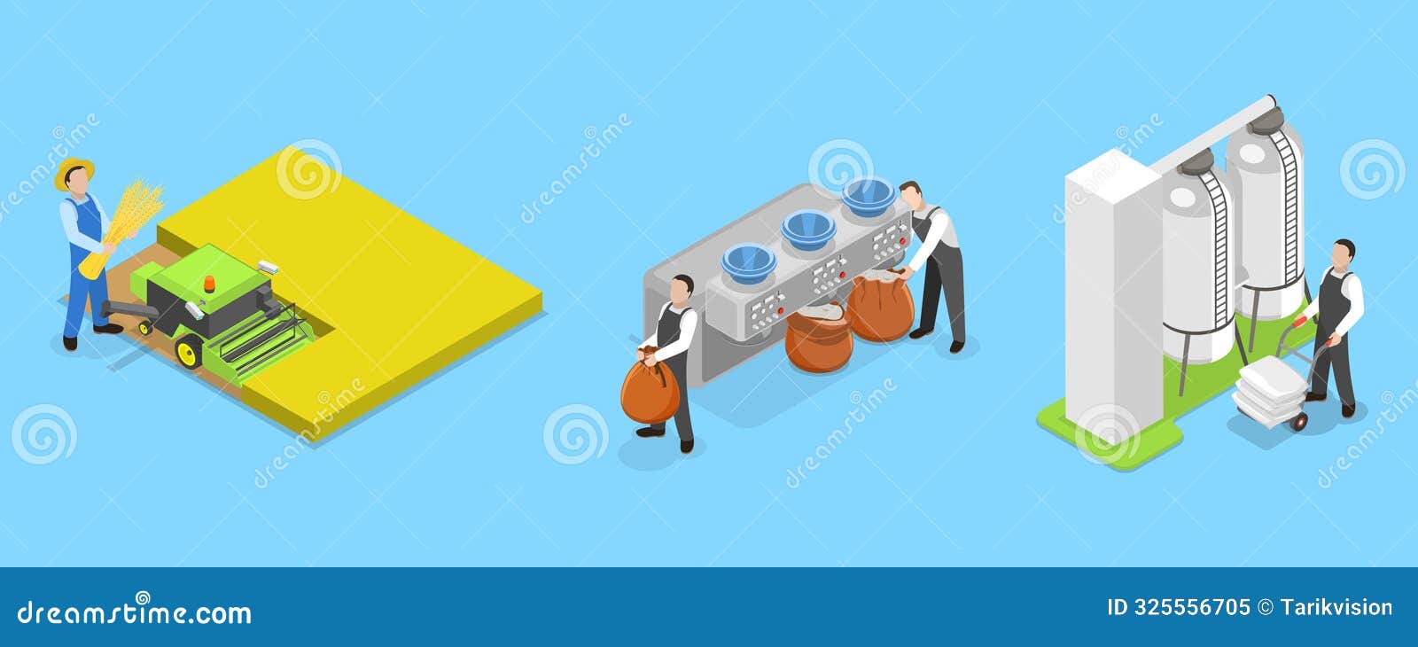 3D Isometric Flat Vector Illustration of Wheat Manufacture Process ...