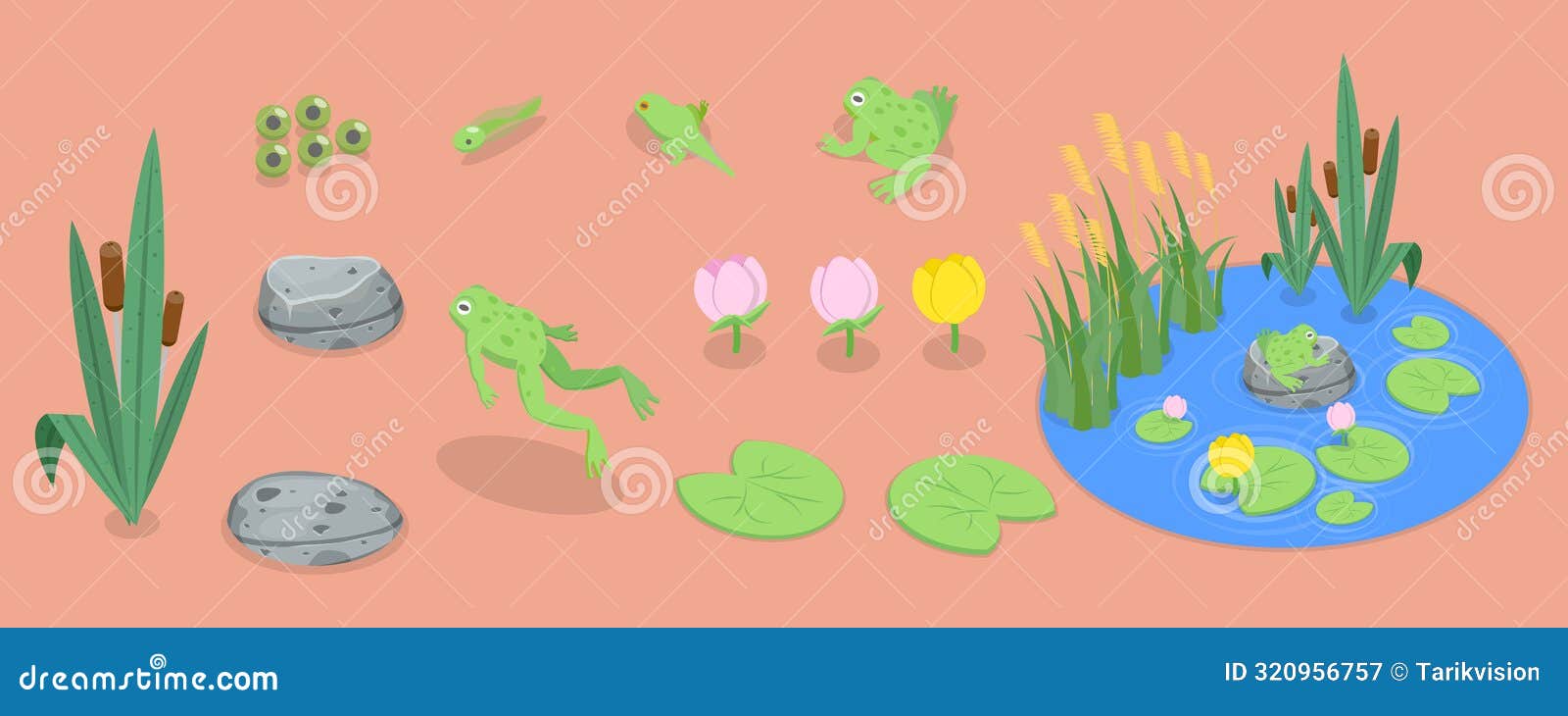 3D Isometric Flat Vector Set of Cartoon Frogs Stock Vector ...