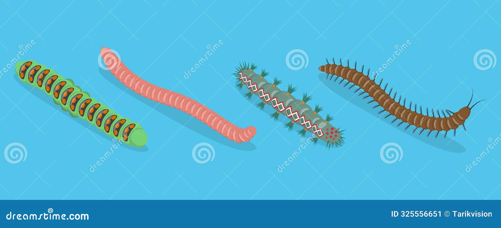 3D Isometric Flat Vector Set of Caterpillars and Worms Stock ...
