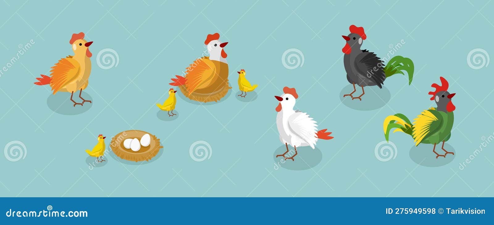 3D Isometric Flat Vector Set Of Chickens | CartoonDealer.com #275949598