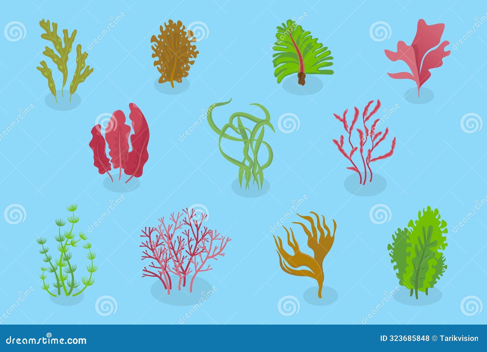 3D Isometric Flat Vector Set of Seaweeds Stock Vector - Illustration of ...