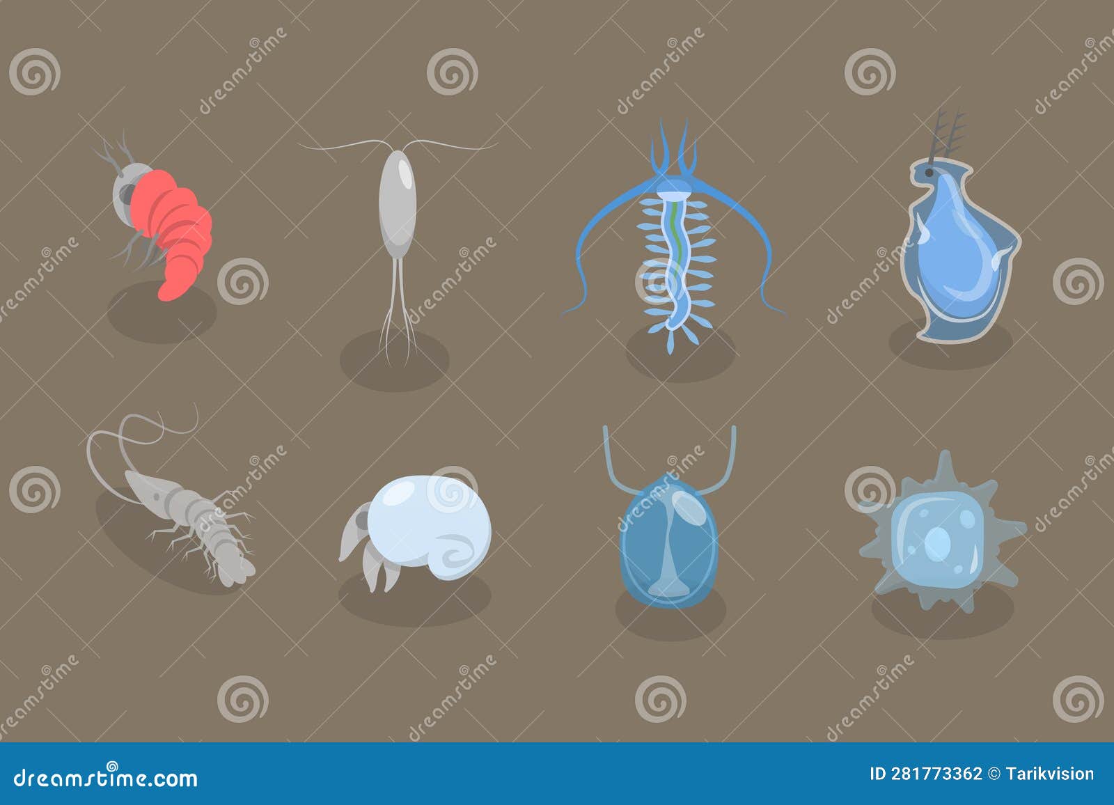 3D Isometric Flat Vector Set of Varieties of Plankton Stock Vector ...