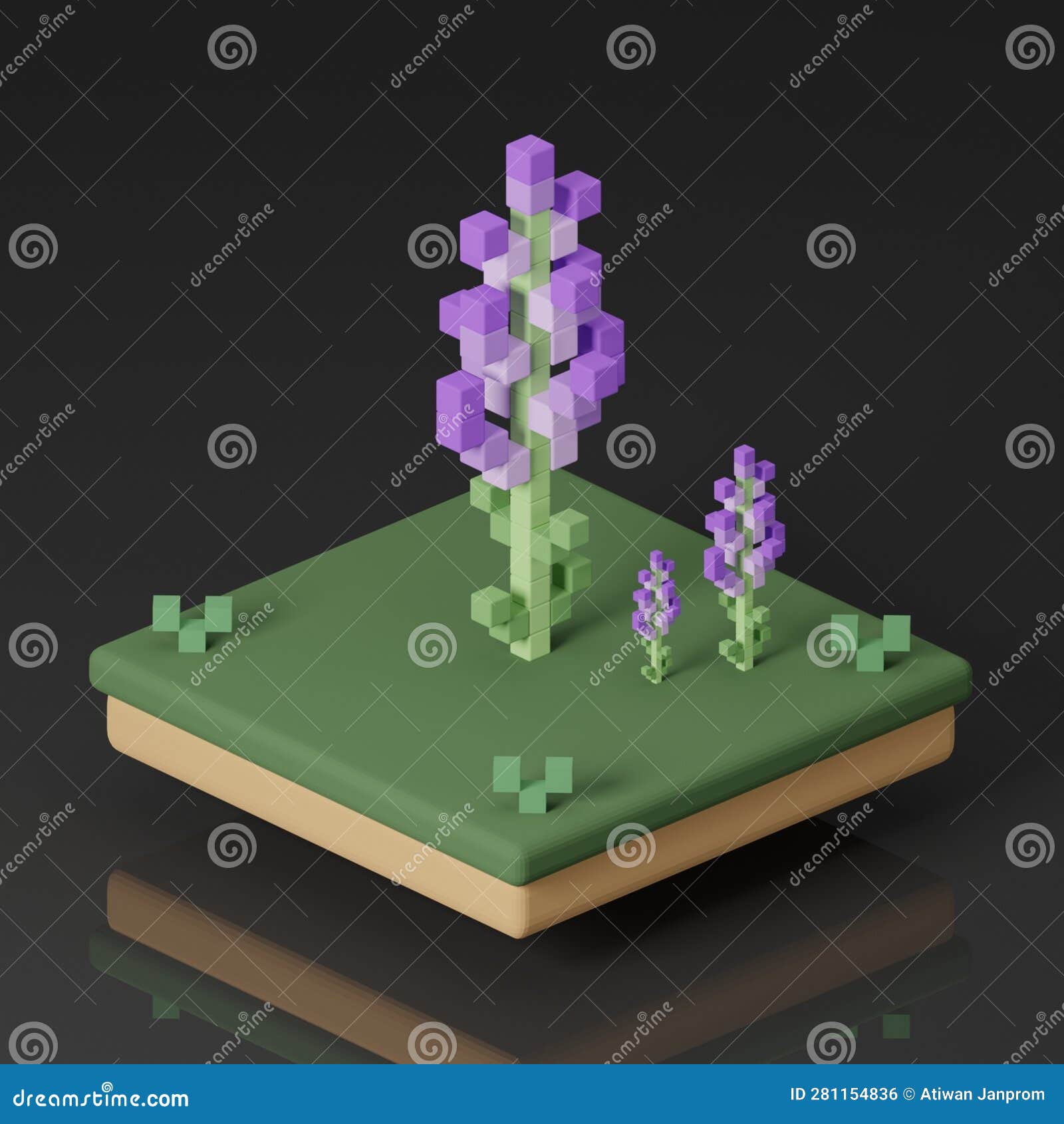3D Isometric Lavender Pixel with Grass and Soil on Black Background in ...