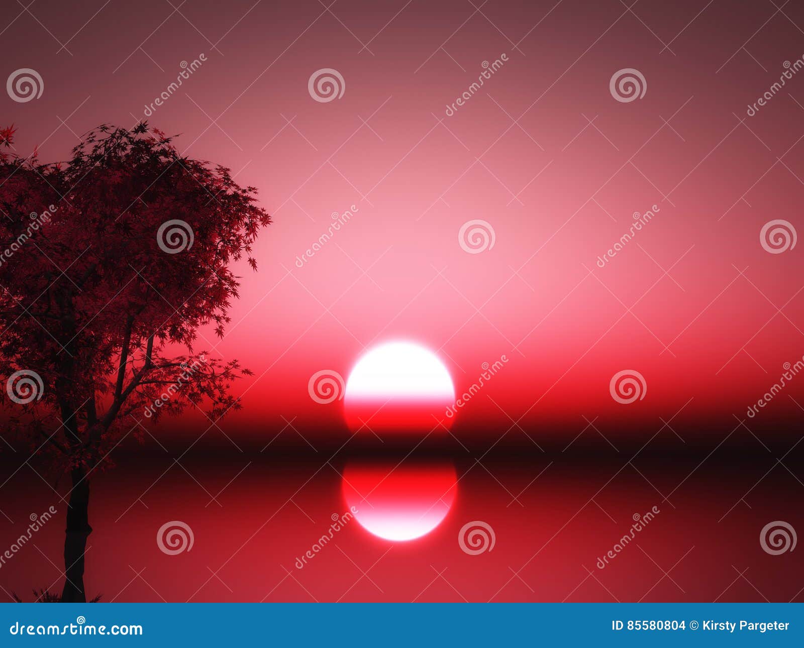 3D Japanese Maple Tree in the Ocean Against a Sunset Sky Stock ...
