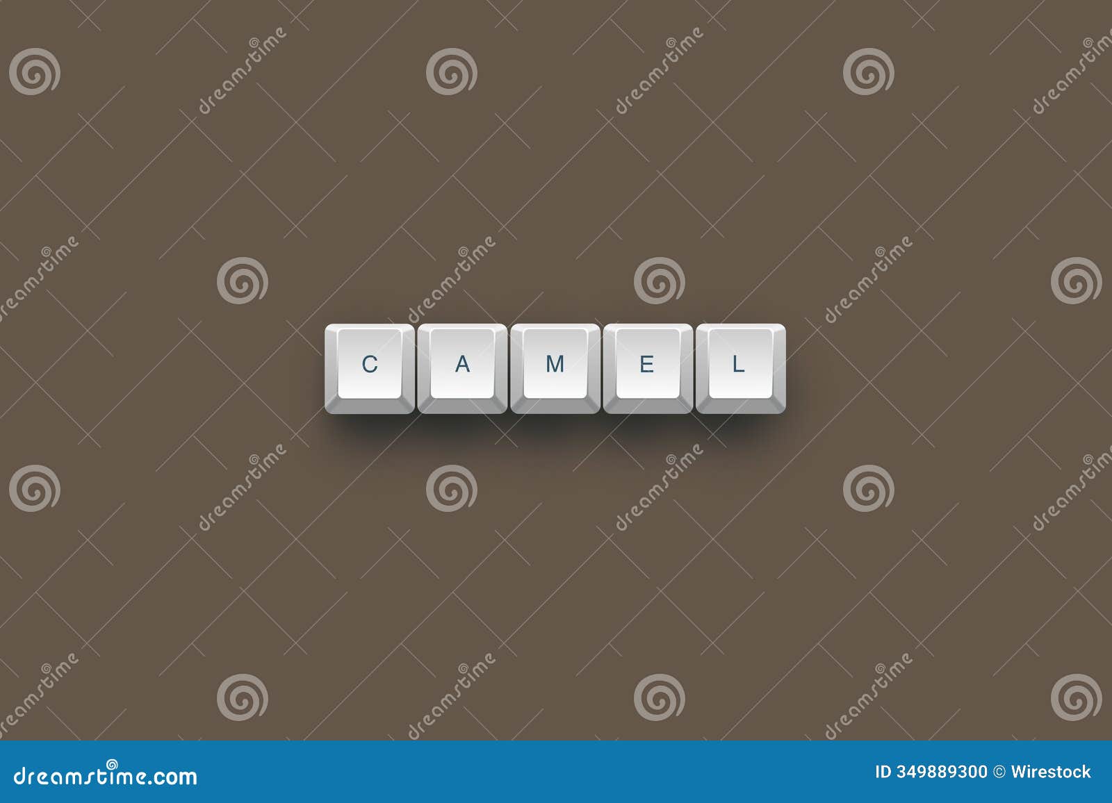 3D Keyboard Button with Camel Text and Shadow Effect Stock Illustration ...