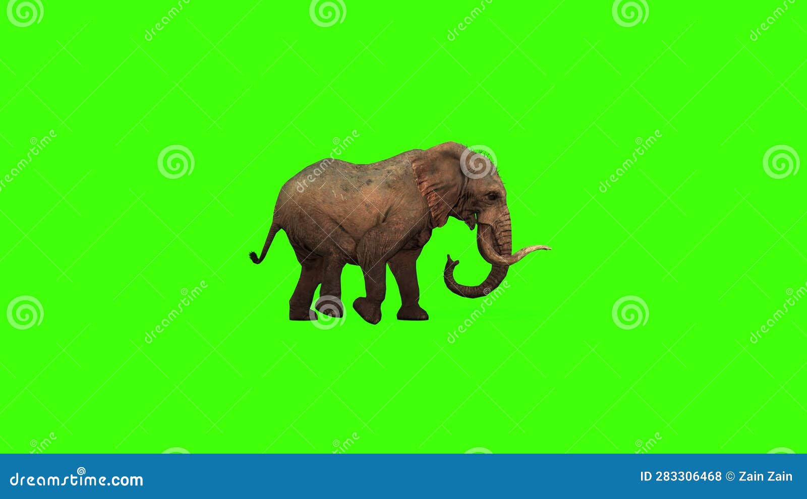 3d Large Elephant Walking on the Ground with a Side View of a Green ...