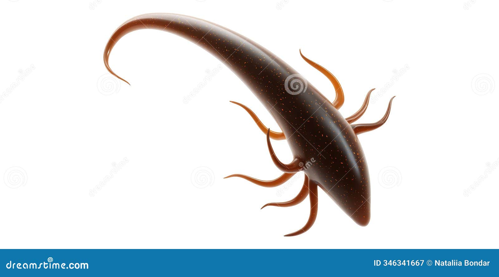 3D Leech Illustration Isolated on Transparent Background Stock ...