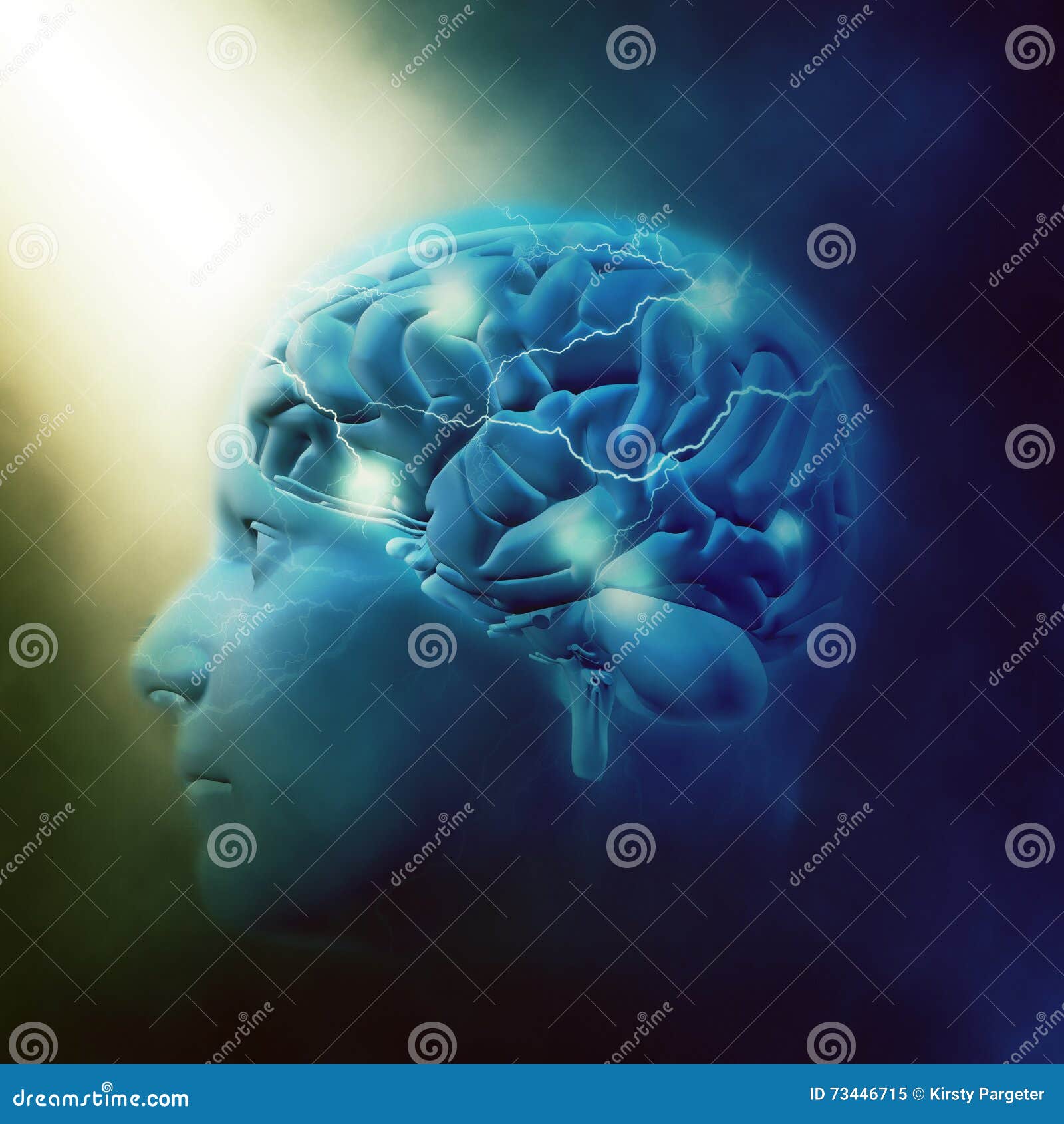 3D male head with brain stock illustration. Illustration of male - 73446715