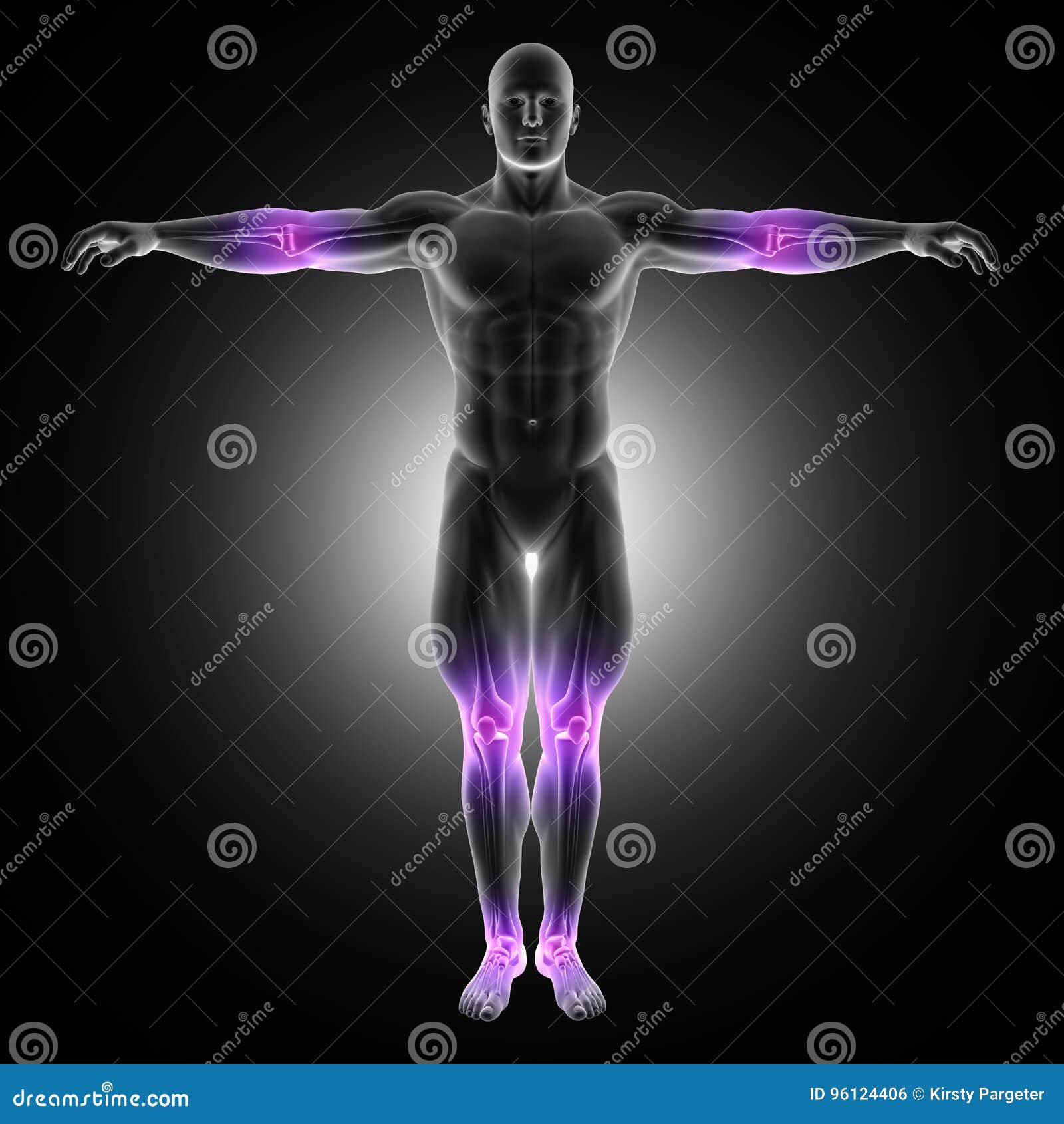 3D Male Medical Figure in Standing Pose with Joints Highlighted Stock ...