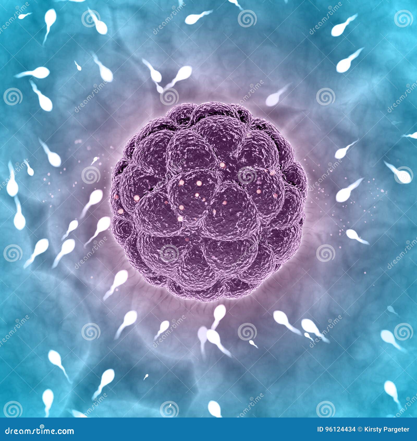 3d Medical Abstract Showing Sperm Meeting Egg Cell Stock Illustration
