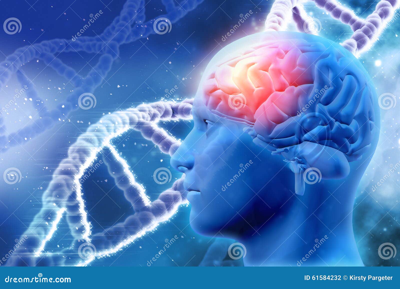 3D Medical Background With Brain And DNA Strands Royalty-Free Stock ...