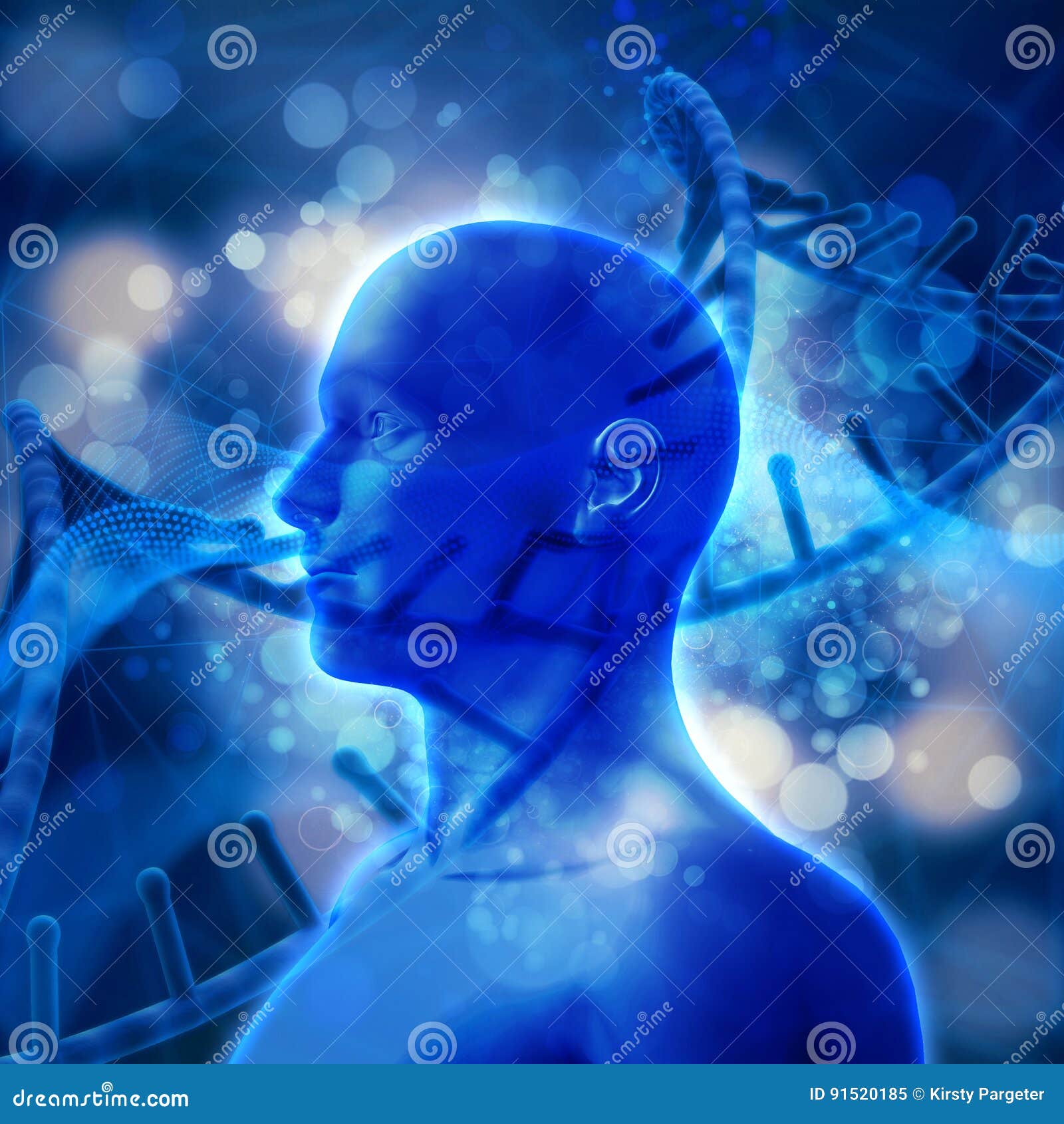 DNA Strands With 3D Male Figure With Muscle Map Stock Photo ...