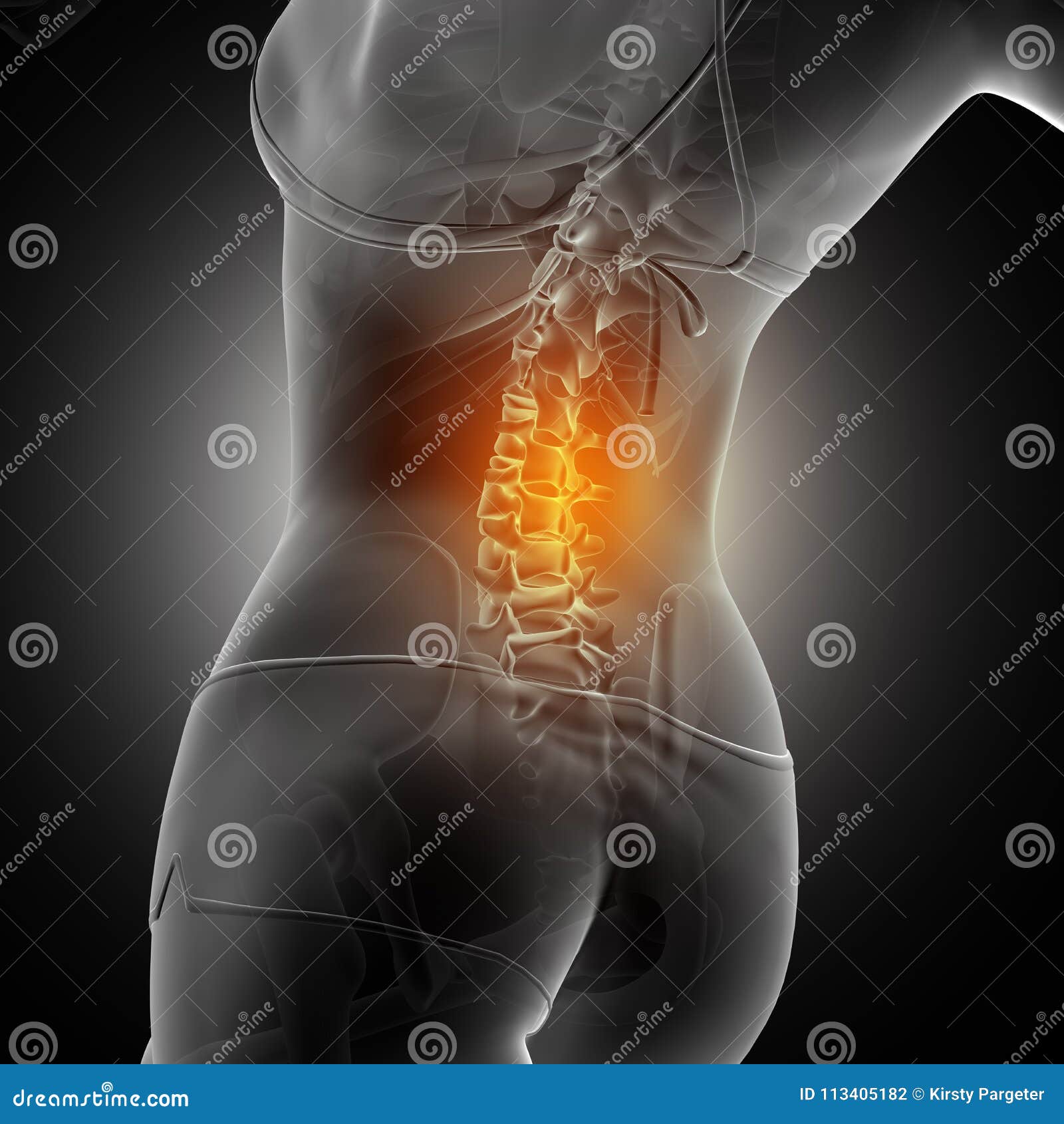 3D Medical Background of a Female Figure with Spine Highlighted Stock ...