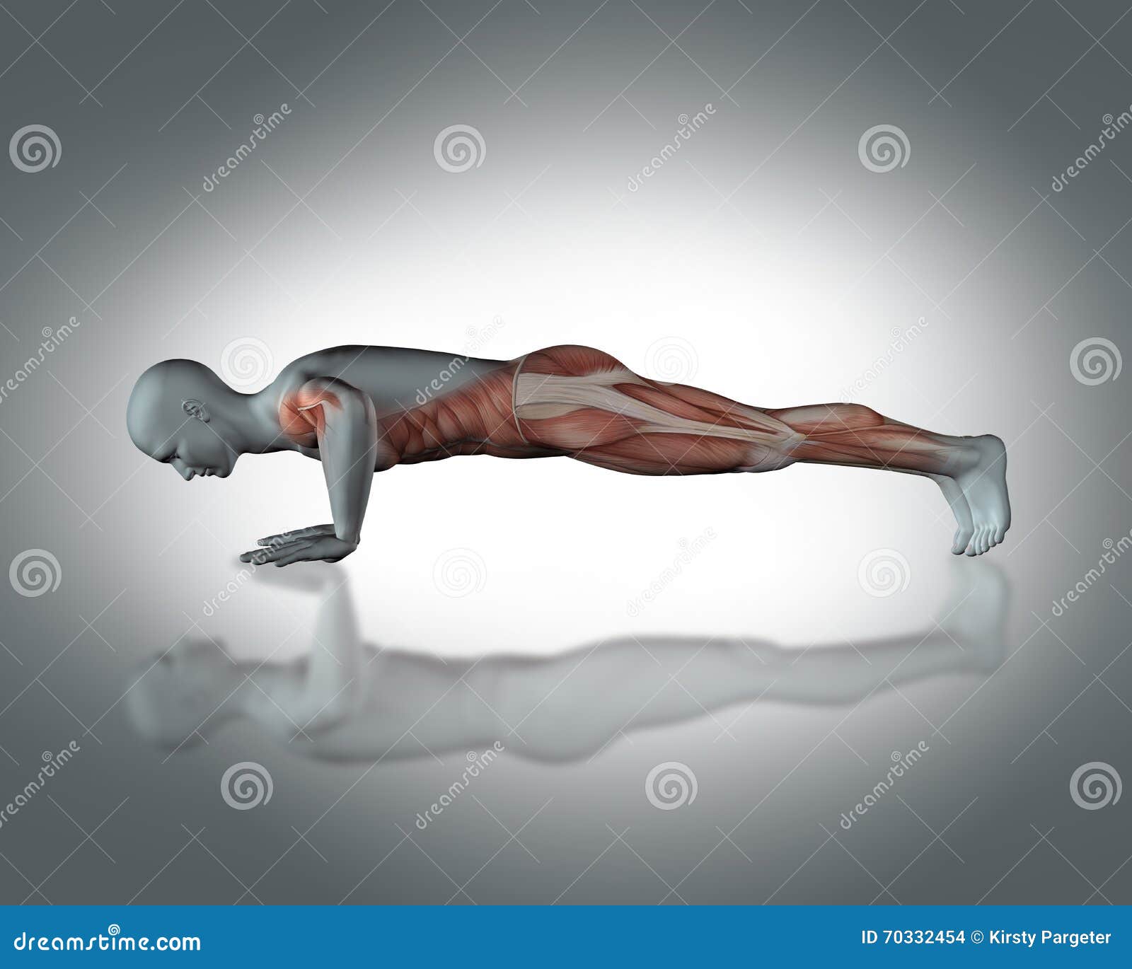 3D Medical Figure in Push Up Position Stock Illustration - Illustration ...