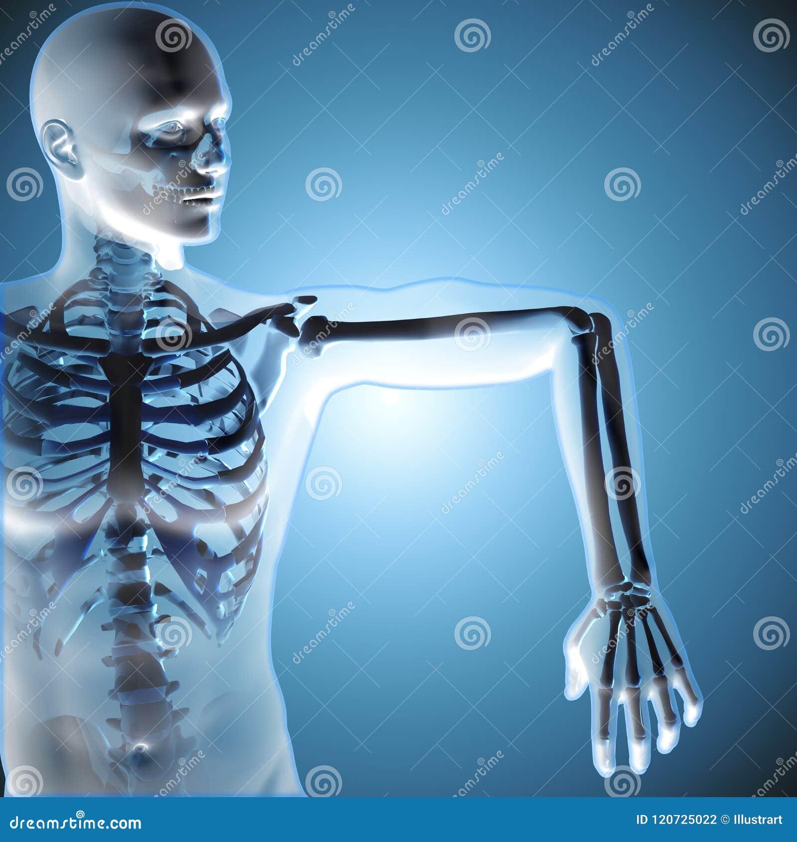 3D Medical Figure Of A Brain With Frontal Lobe Highlighted Royalty-Free ...