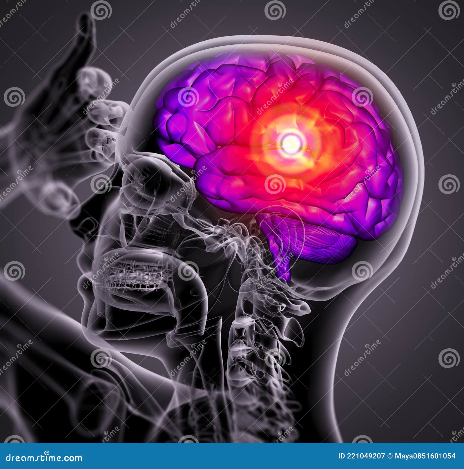 3D Medical Illustration of the Brain Stock Illustration - Illustration ...
