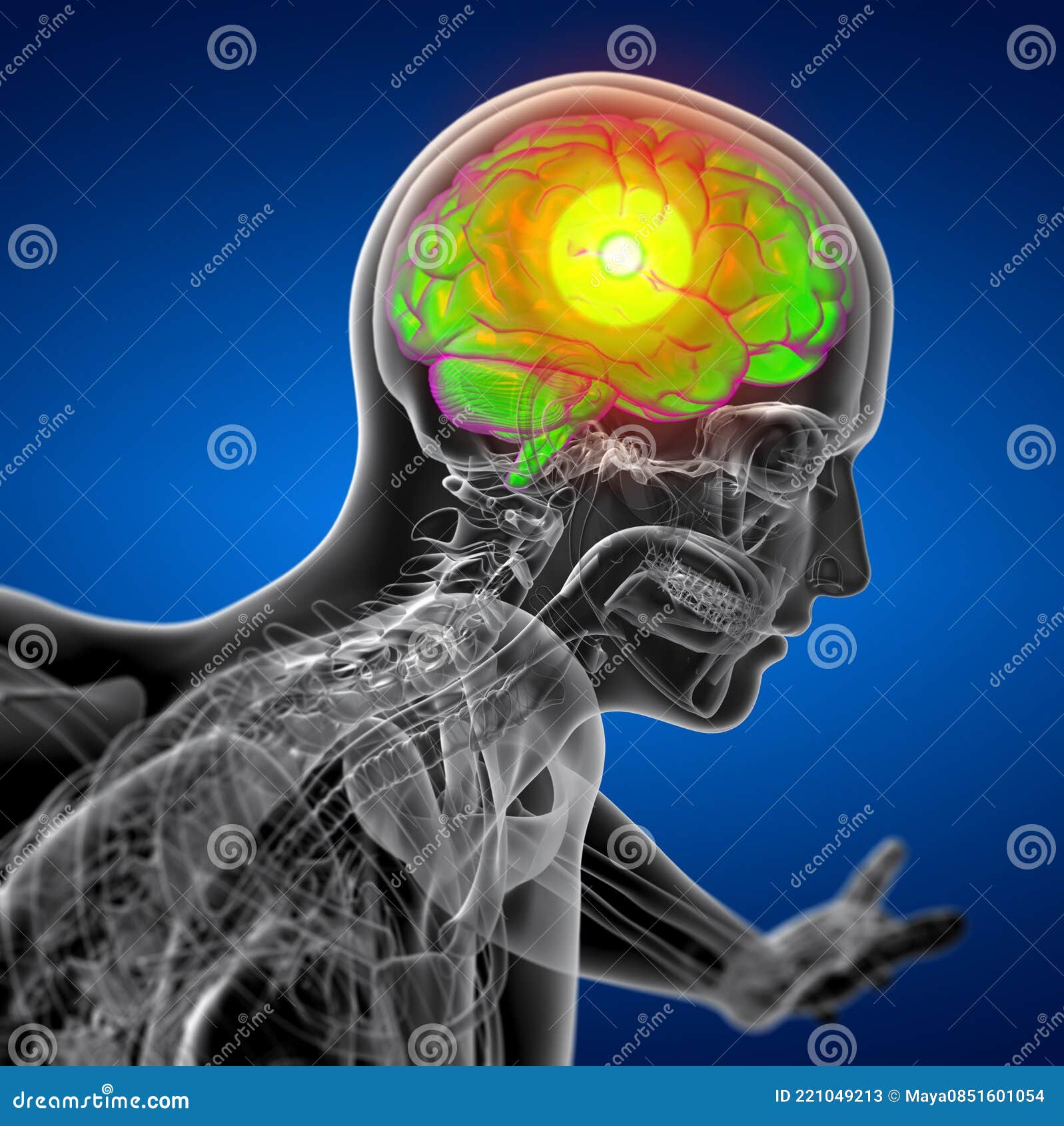 3D Medical Illustration of the Brain Stock Illustration - Illustration ...