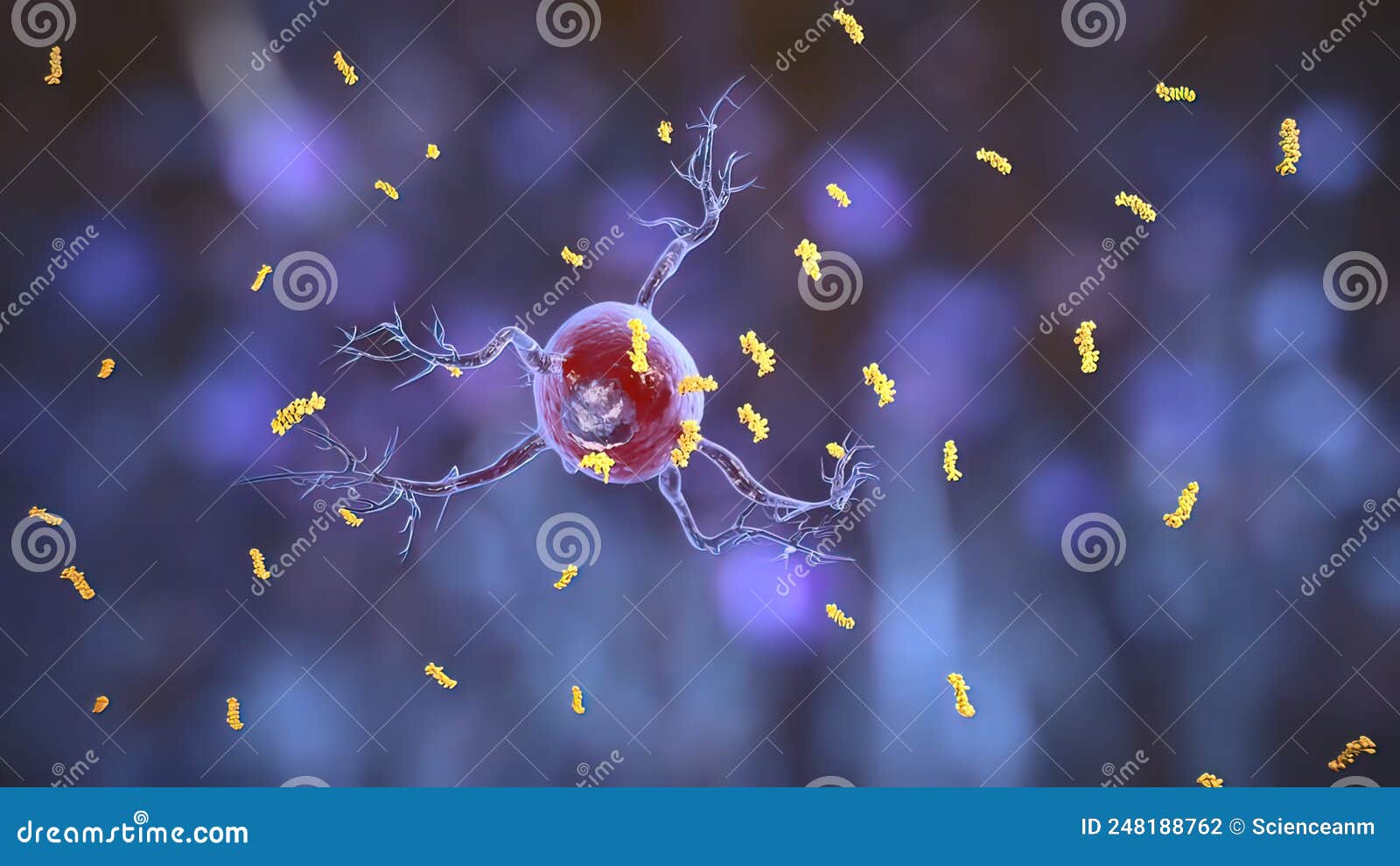 Microglial Dynamics during Human Brain Development Stock Illustration ...