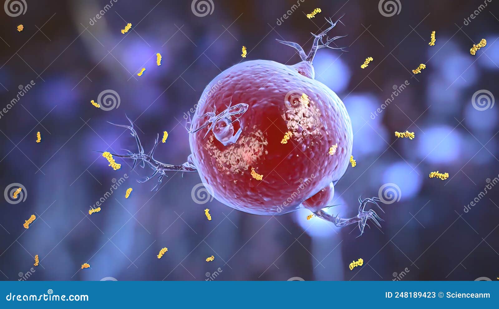 Microglial Dynamics during Human Brain Development Stock Illustration ...