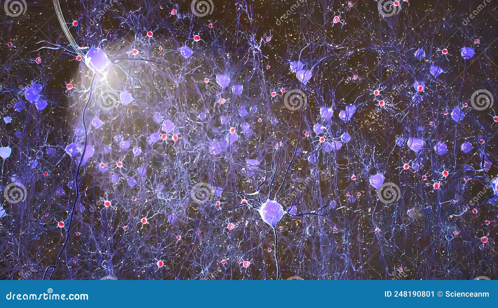 Microglial Dynamics during Human Brain Development Stock Illustration ...