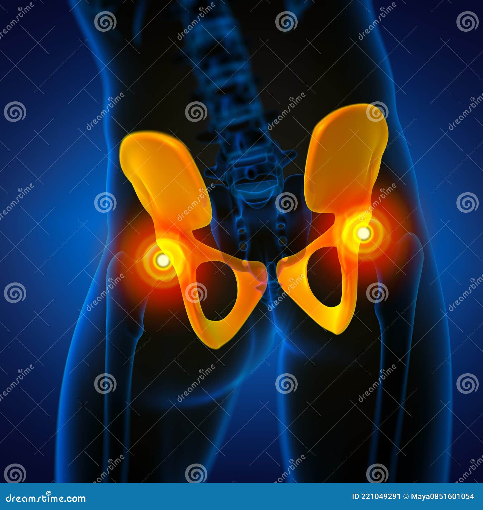 3D Medical Illustration Of The Pelvis Bone | CartoonDealer.com #221049291
