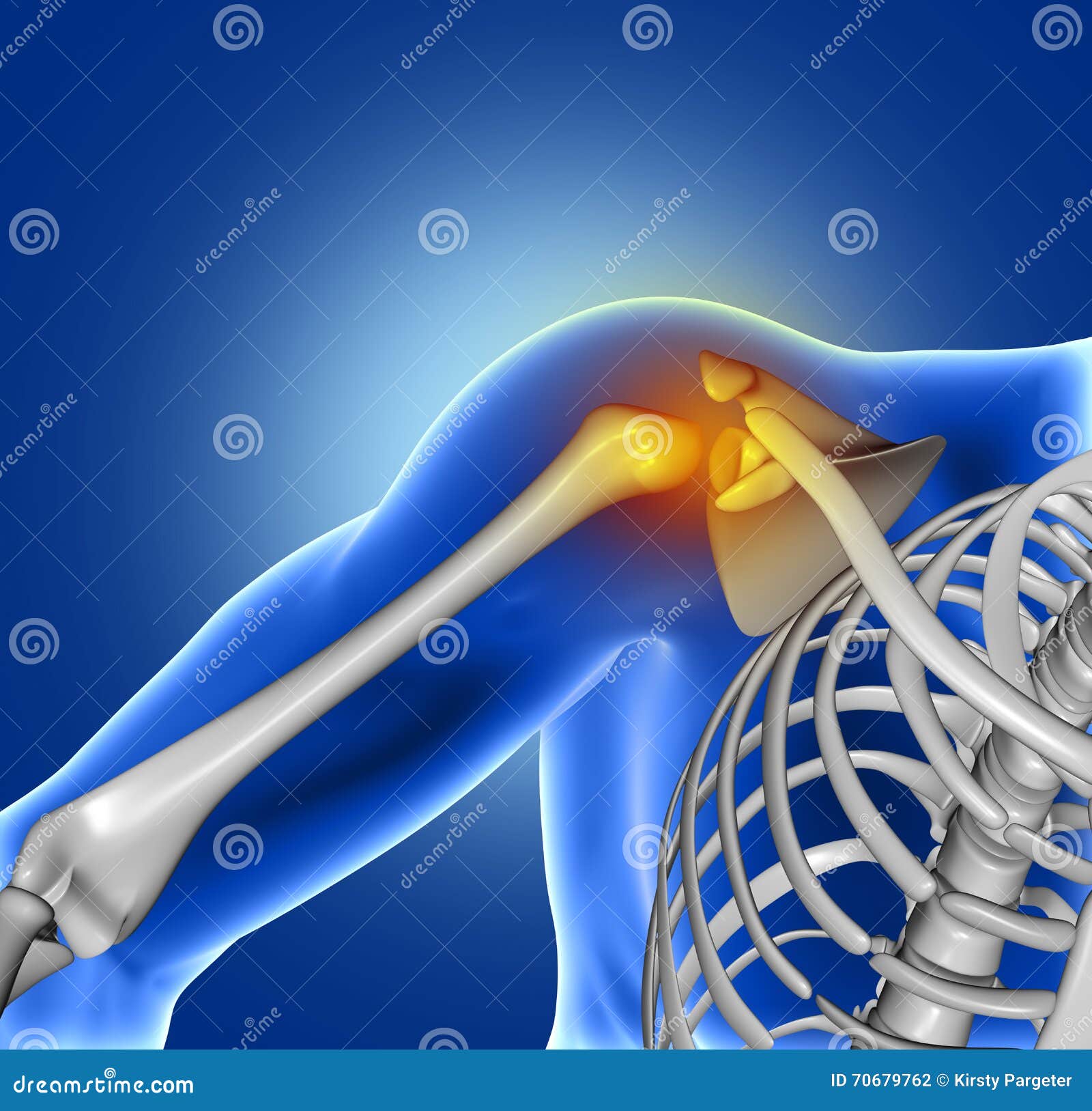 3D Medical Image of Shoulder Bone Stock Illustration - Illustration of ...