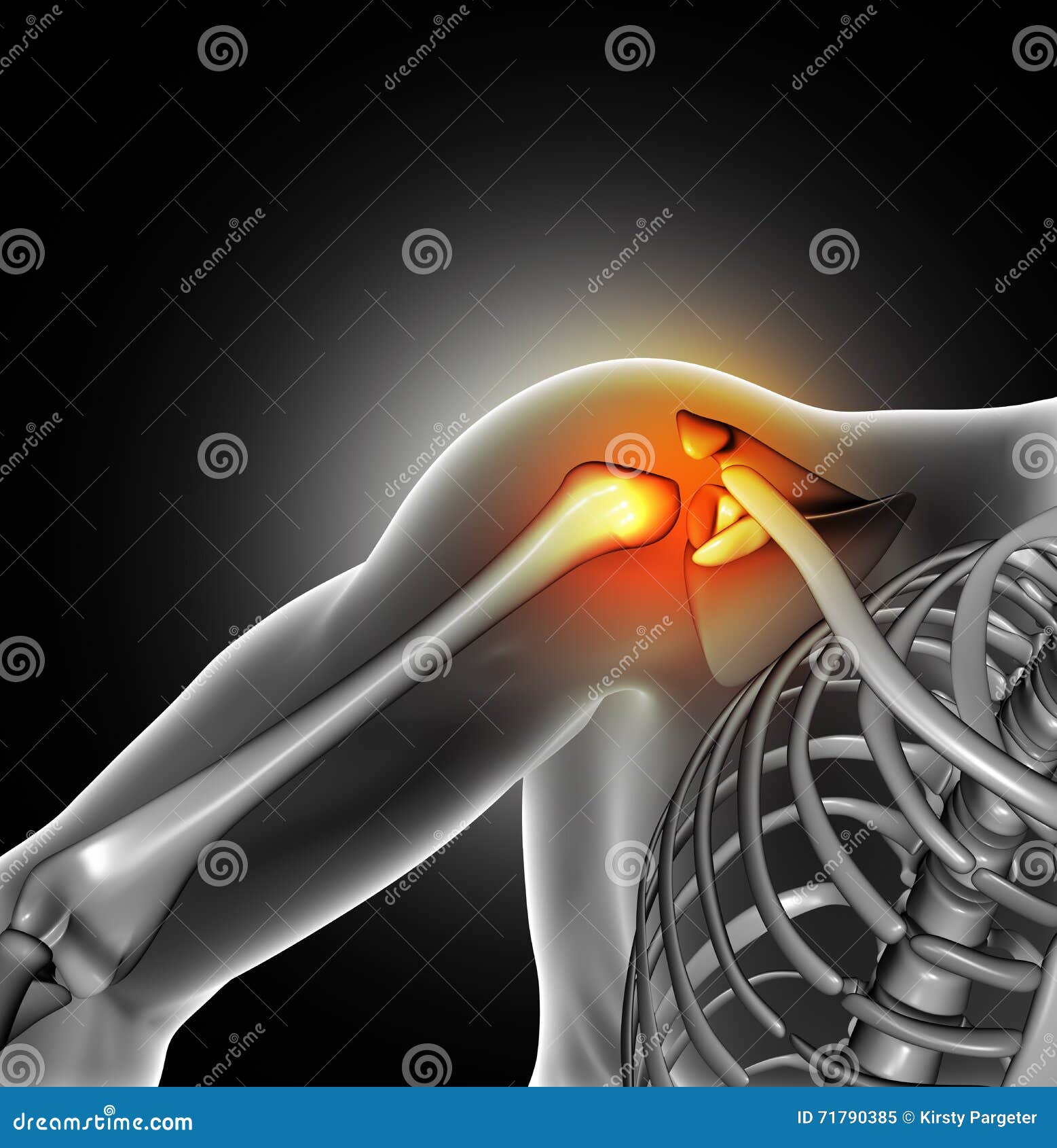 3D Medical Image of Shoulder Bone Stock Illustration - Illustration of ...
