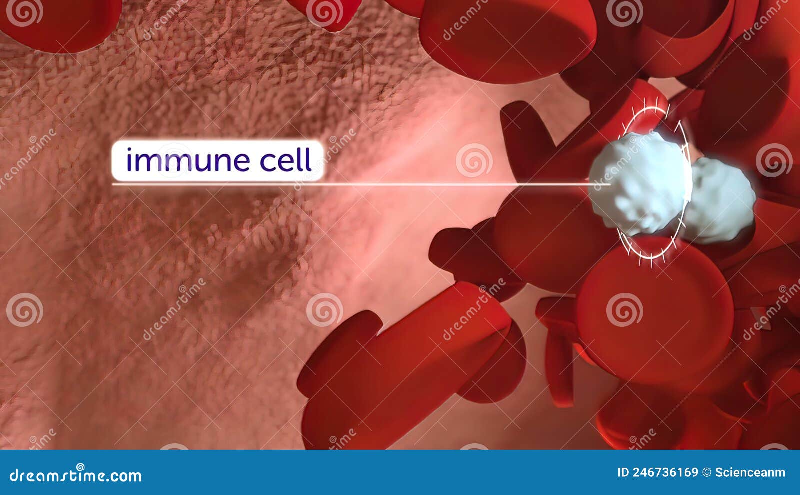 3D Medical of Immunotherapy Stock Illustration - Illustration of human ...