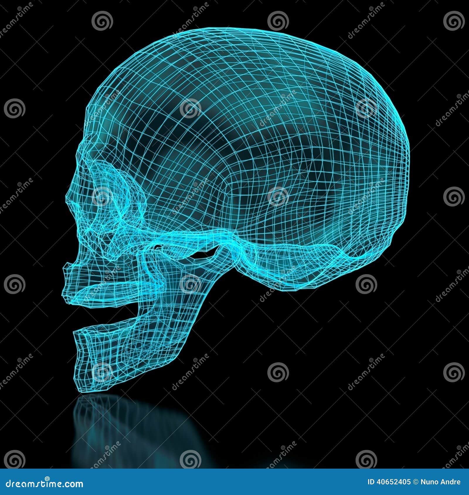3D Mesh Skull Royalty-Free Stock Photography | CartoonDealer.com #40652405