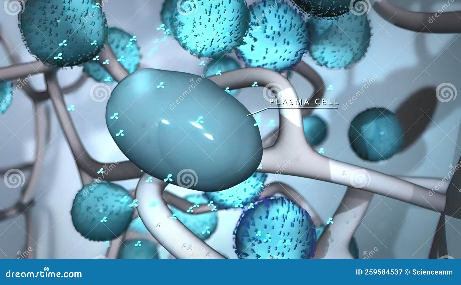 3D Microbiology of Cell Proliferation Stock Illustration - Illustration ...