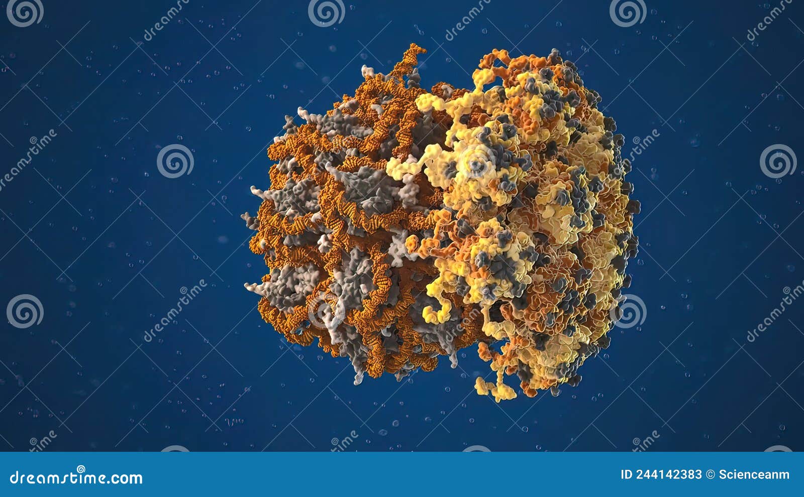 3D Microbiology 3D Illustration of the Capsid. Protein Shell of a Virus ...