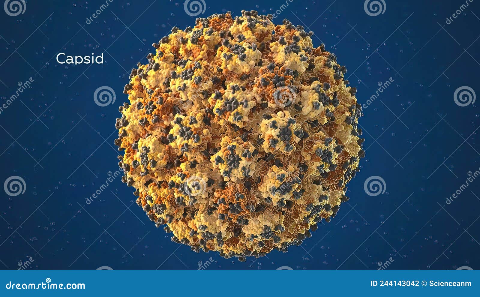 3D Microbiology 3D Illustration of the Capsid. Protein Shell of a Virus ...
