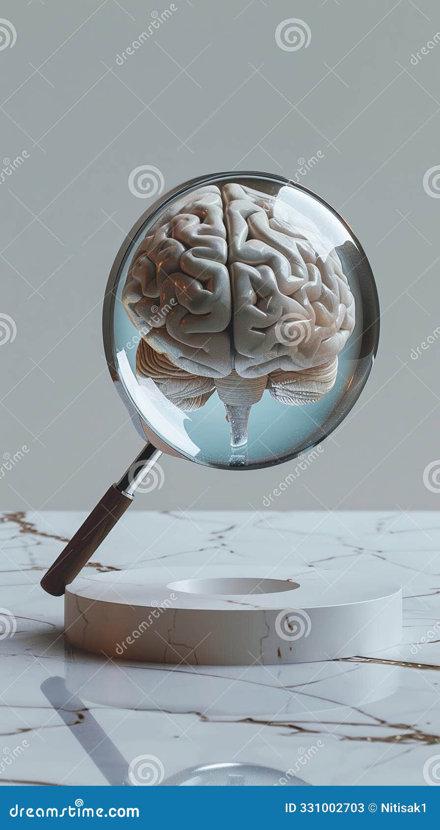 A 3D Model of a Brain with a Magnifying Glass Hovering Over it ...