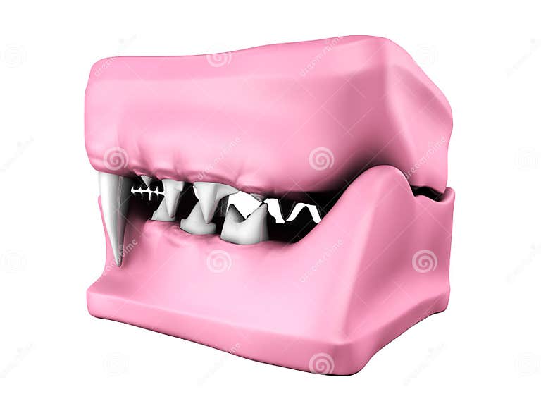3d Model of Cat Teeth Cast. Stock Illustration - Illustration of ...