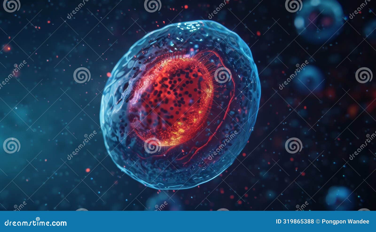 A 3D Model Of A Cell Undergoing Mitosis, With Chromosomes Aligning At ...