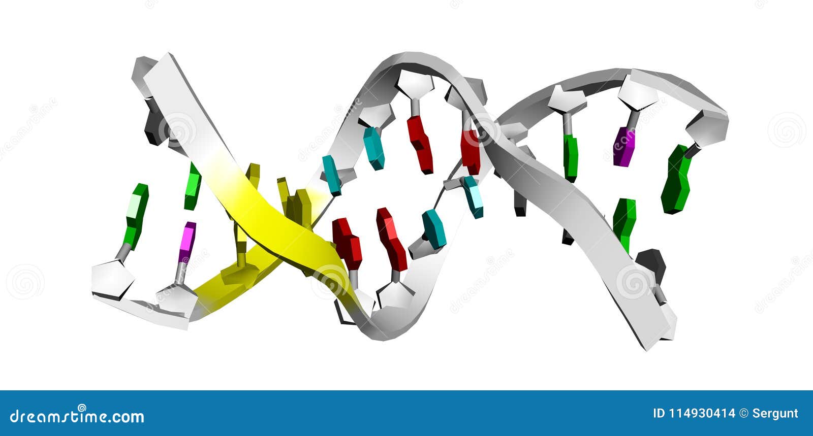 3D model of DNA. stock illustration. Illustration of biochemistry ...