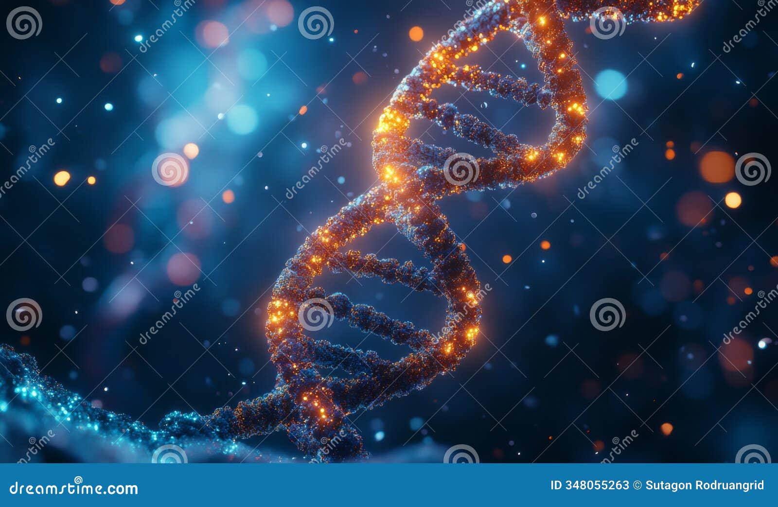 3D Model Of A DNA Double Helix Structure With Detailed Nucleotides ...