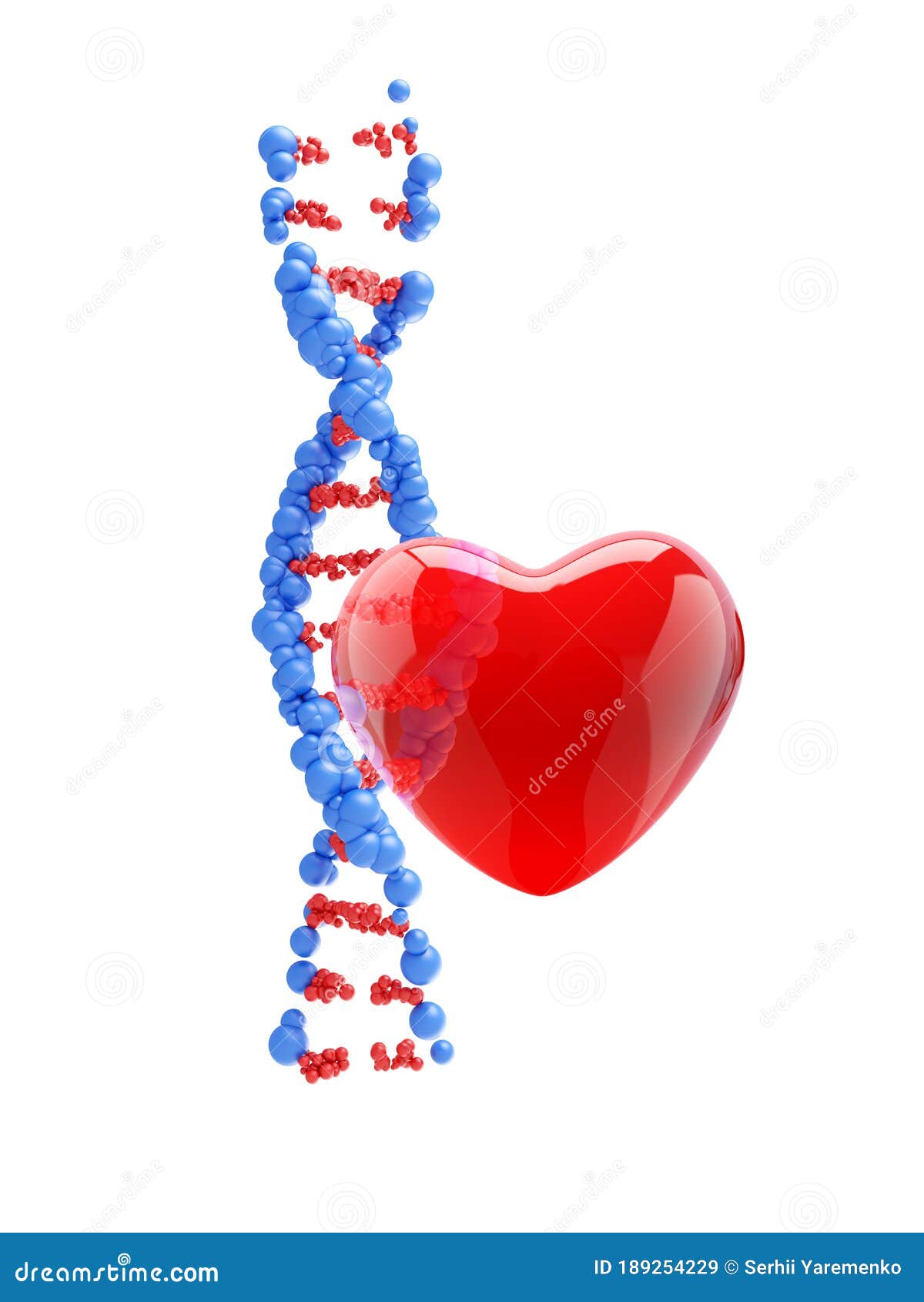 Dna strand with red heart stock illustration. Illustration of symbol ...