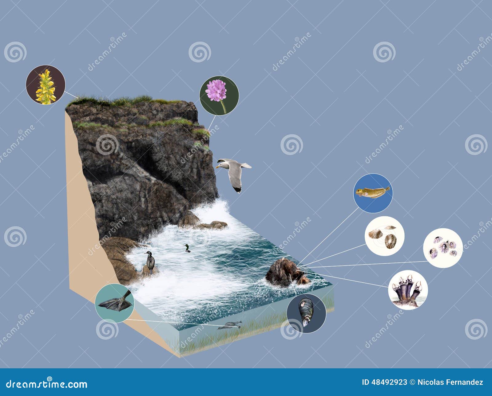 3d model ecosystem cliff stock illustration. Illustration of tree ...