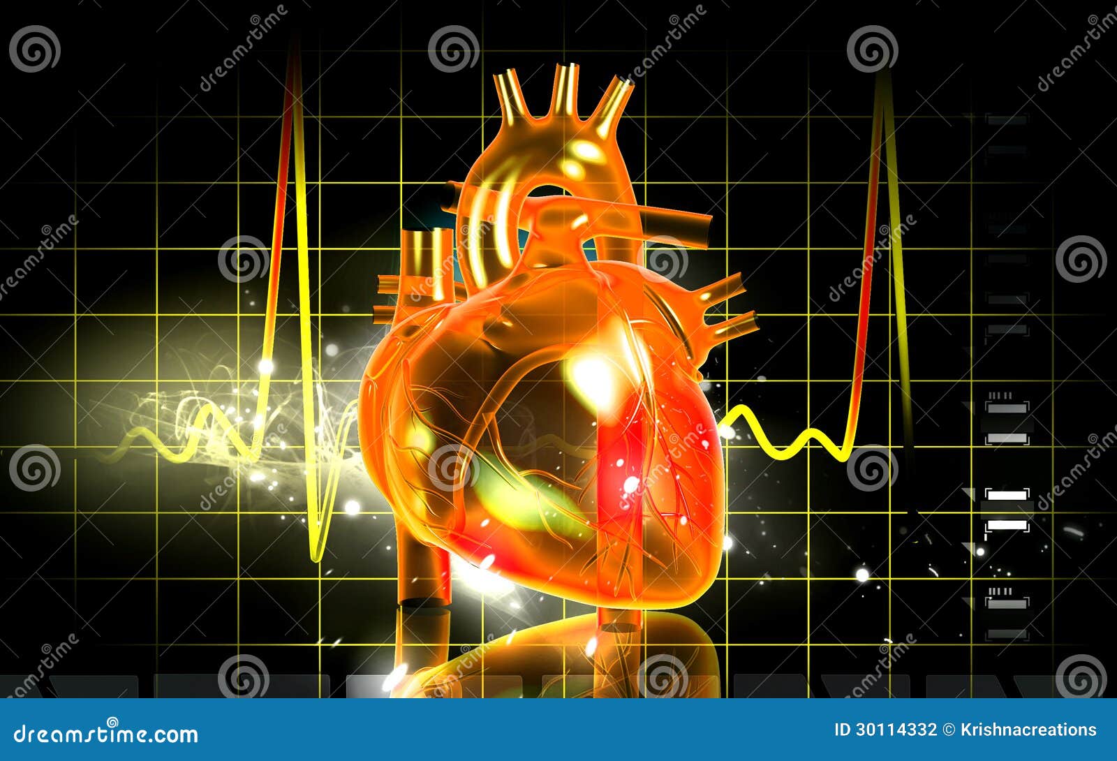 3d Frog Cartoons, Illustrations & Vector Stock Images - 5606756 ...