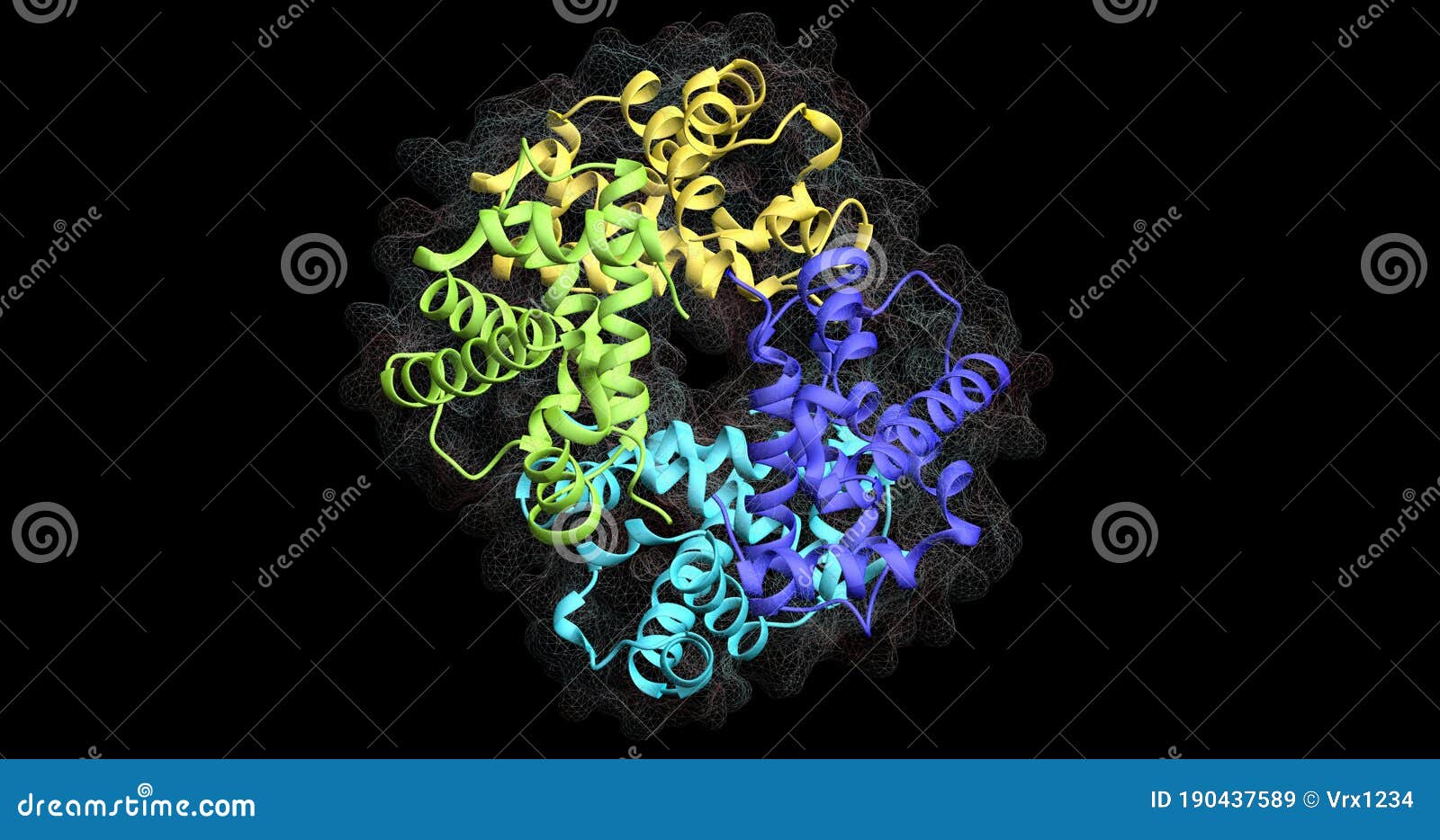 Hemoglobin Molecule . View 2 . 3d Rendering Illustration Stock ...