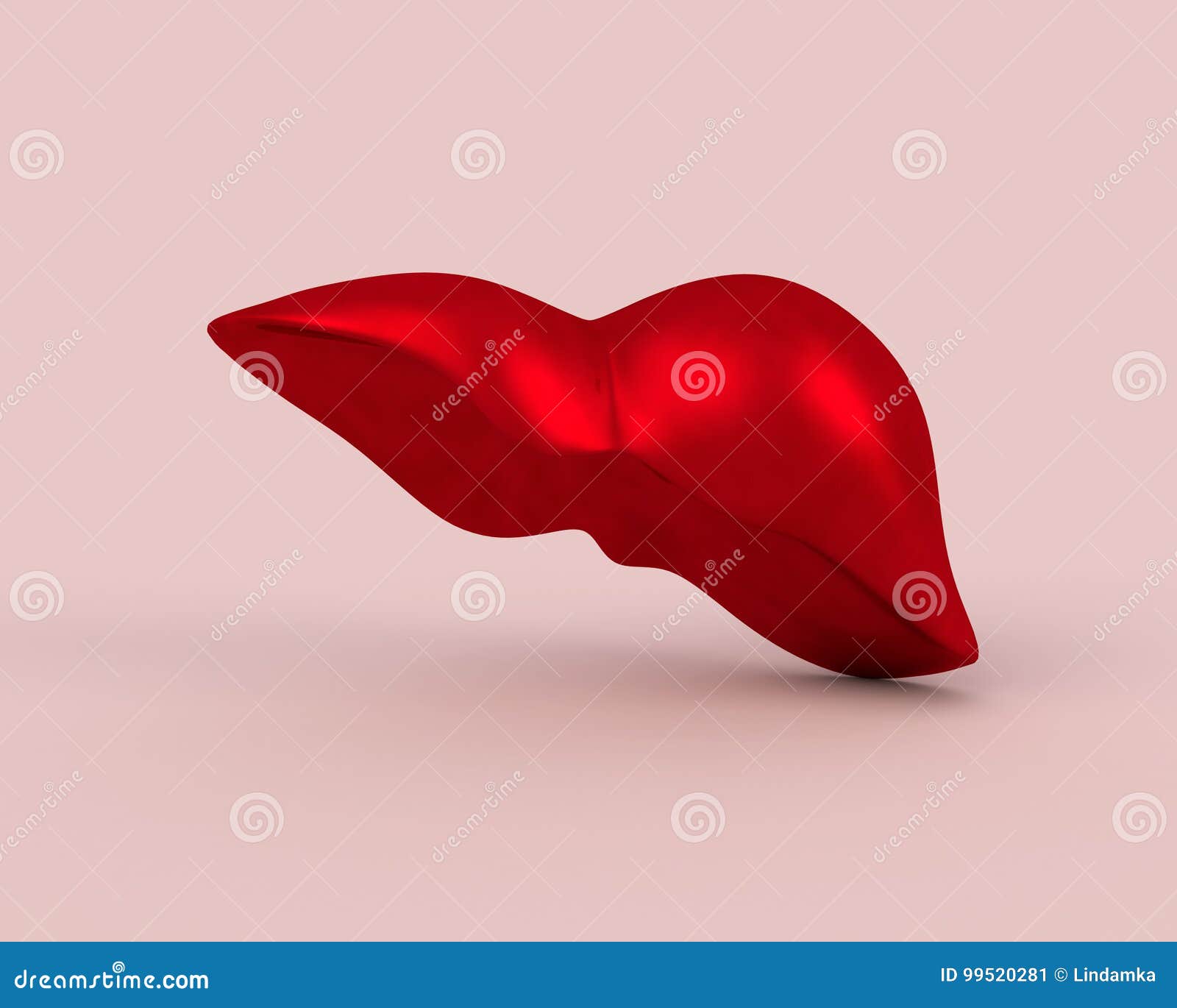 3D Model of the Human Liver. Stock Illustration - Illustration of gall ...