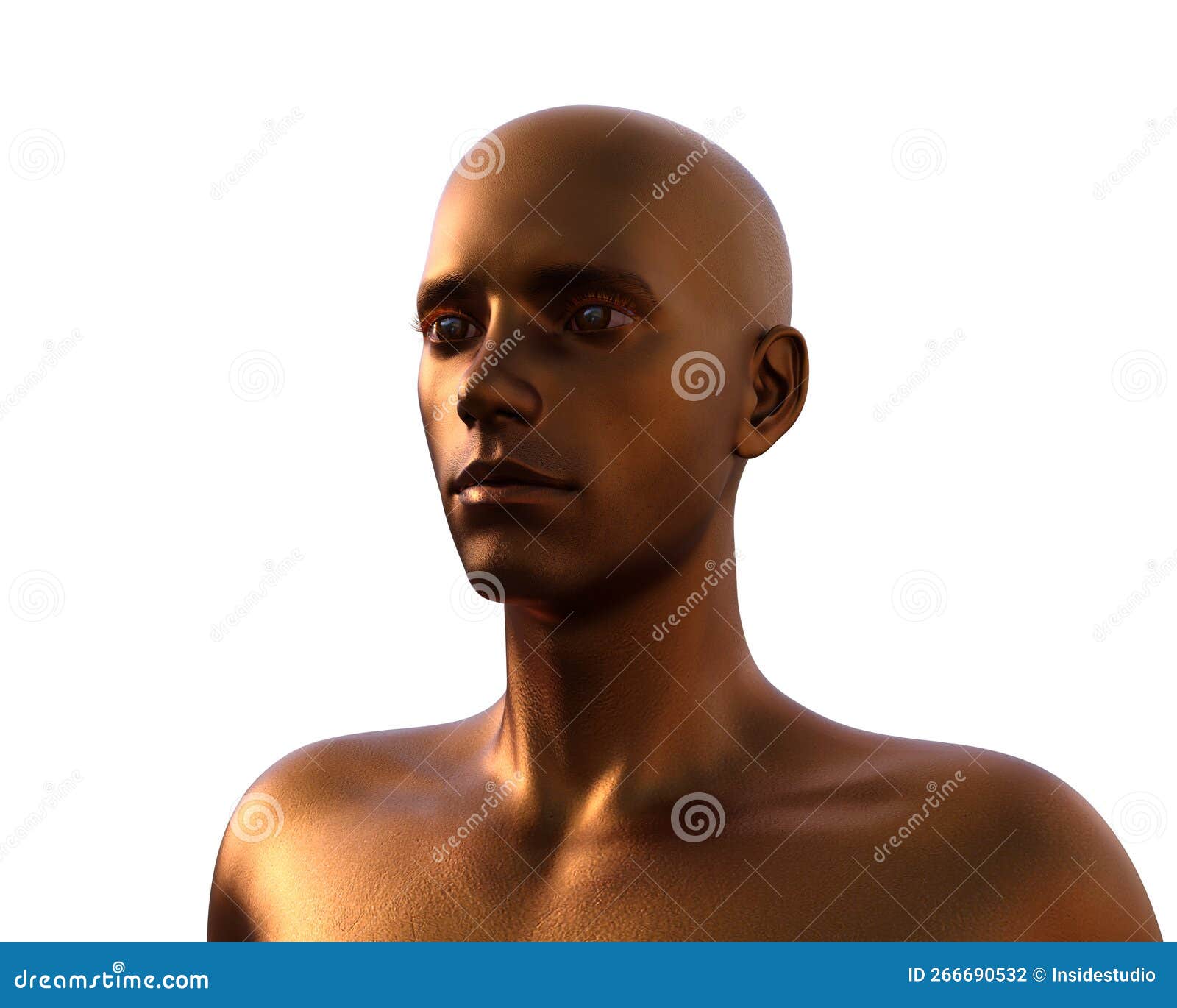 3D Model. Male Torso of Golden Color on a White Background. Stock ...