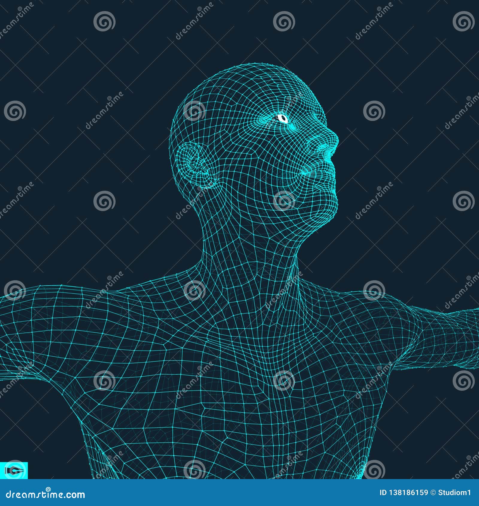 3D Model of Man. Human Body Wire Model. Design Element Stock Vector ...
