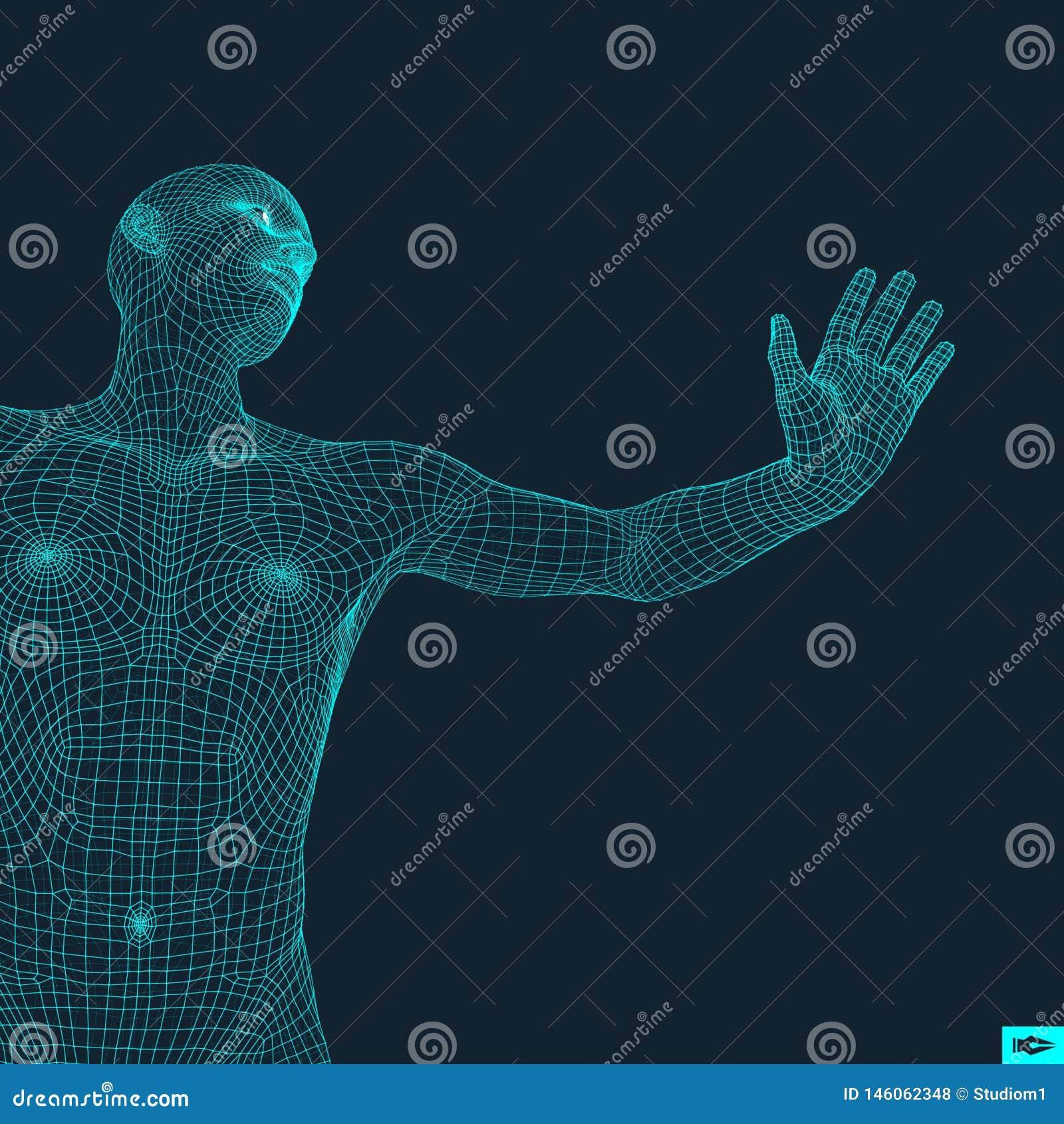 3D Model of Man. Human Body Wire Model. Design Element Stock Vector ...