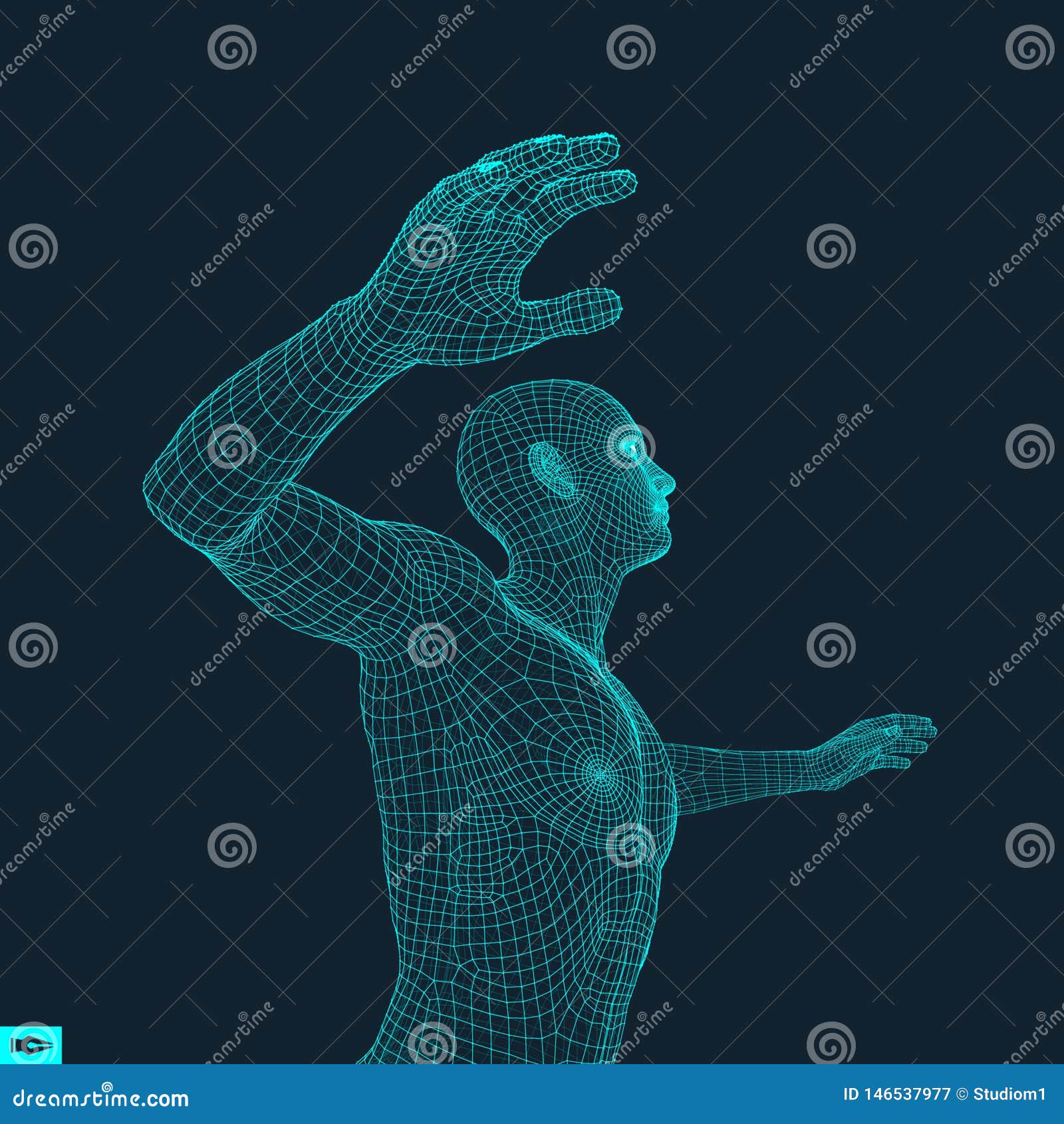3D Model of Man. Human Body Wire Model. Design Element Stock Vector ...